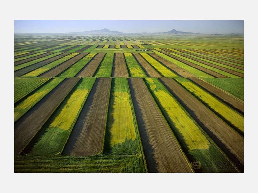 Alex MacLean / Фотография 28 / Америка, США - ФотоТерра